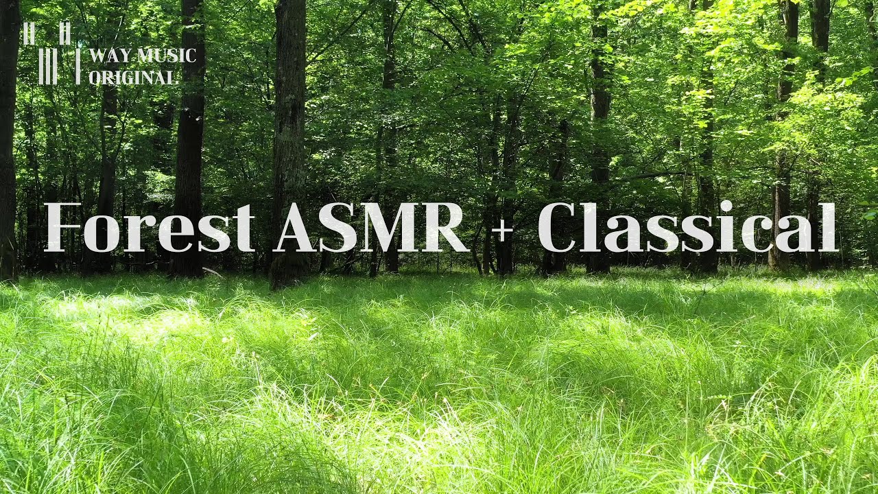 🌳 Forest ASMR + Classical / Kalimba Relaxing Music 1 Hour Playlist 🎧 ...