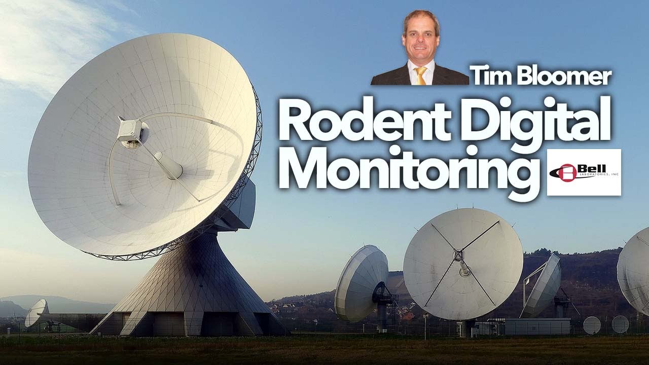 Rodent digital monitoring - YouTube