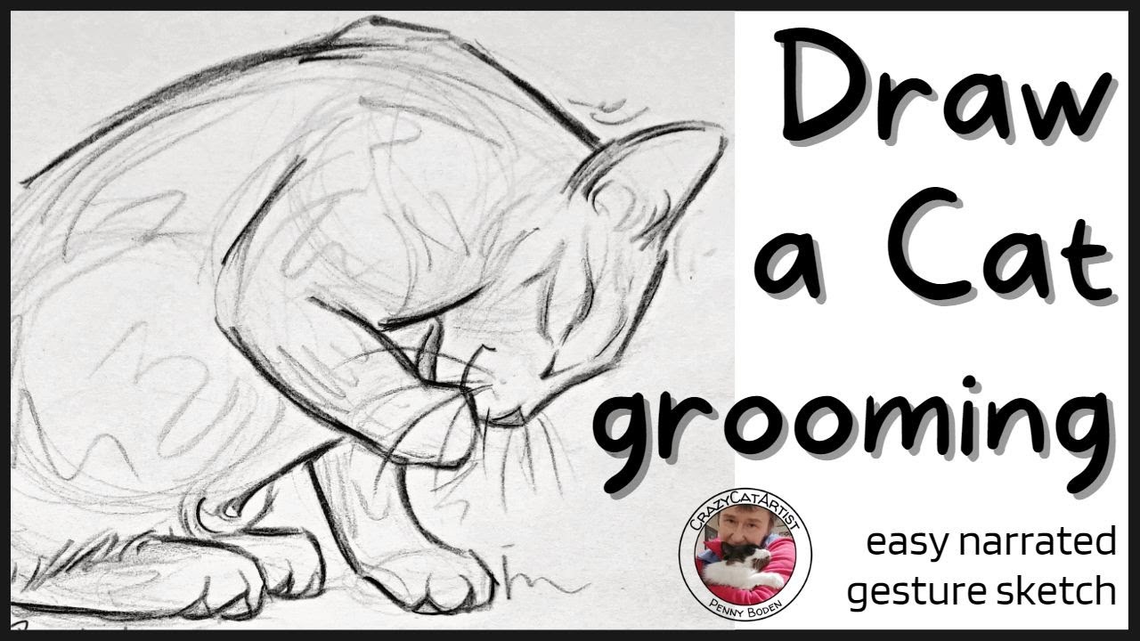 How to Draw a Cat Grooming Side View Profile, full body simple sketch ...