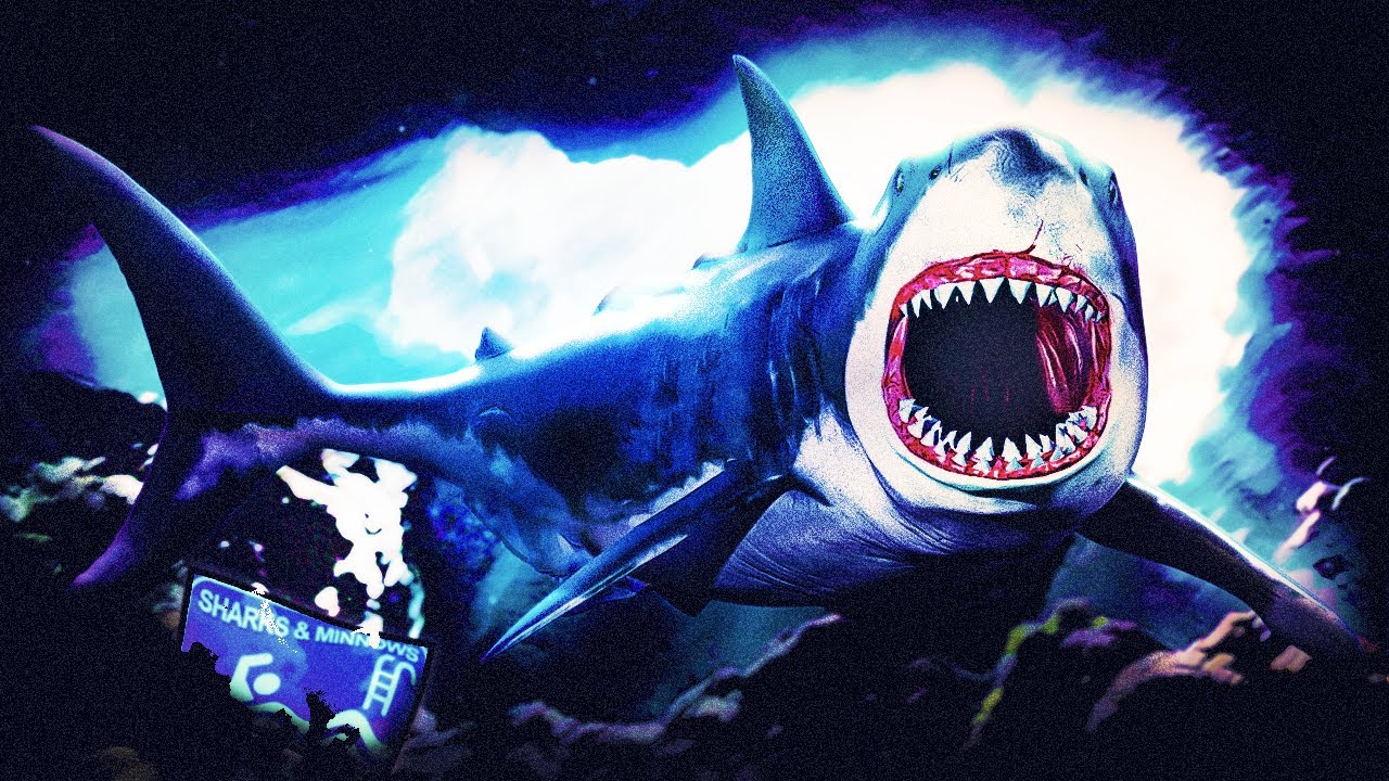 This Horror Game WEAPONIZES Galeophobia... | Sharks and Minnows - YouTube