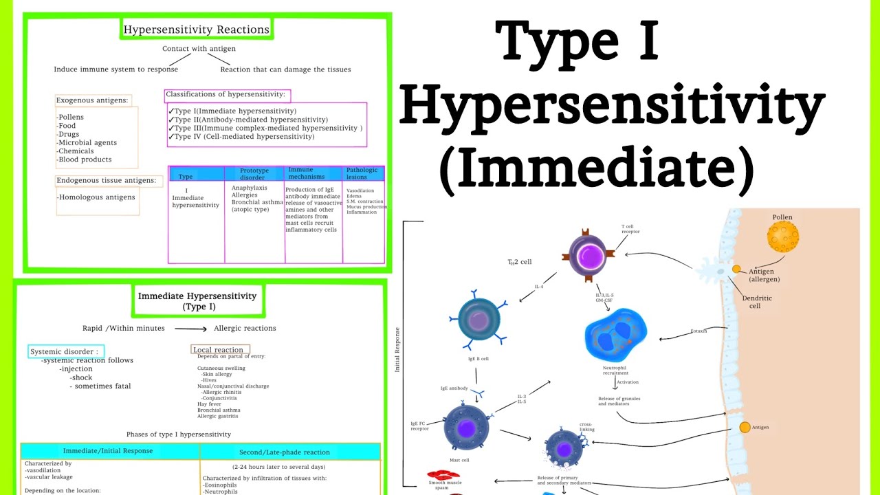 Pathology(35) Type 1 Hypersensitivity (Immediate) Xasaasiyada waxa ...