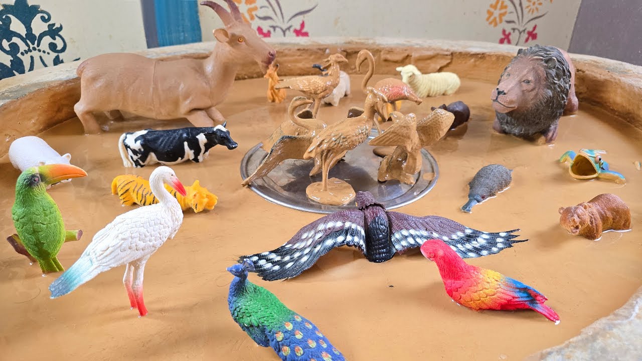 Secrets of the Sandbox: A Desert Adventure with Farm Animals and Birds ...
