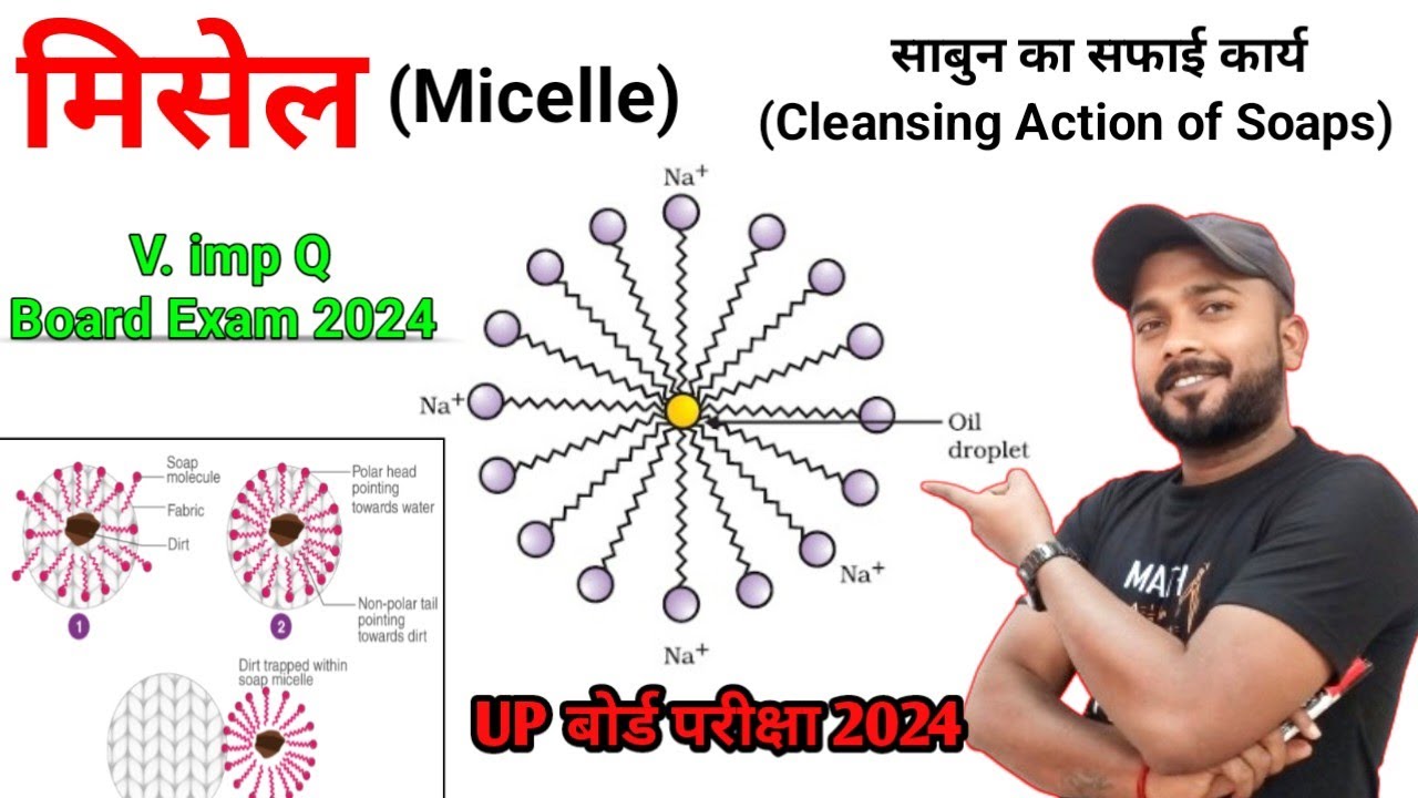 मिसेल का निर्माण 🔥 | Micelles Class 10 | micelle formation class 10 ...