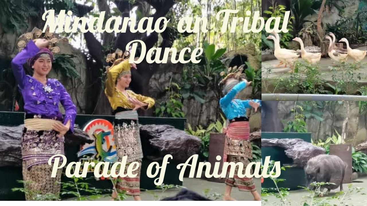 Ep#82 WATCHING MINDANAOAN TRIBAL DANCE/ PARADE OF ANIMALS/ CROCODILE ...
