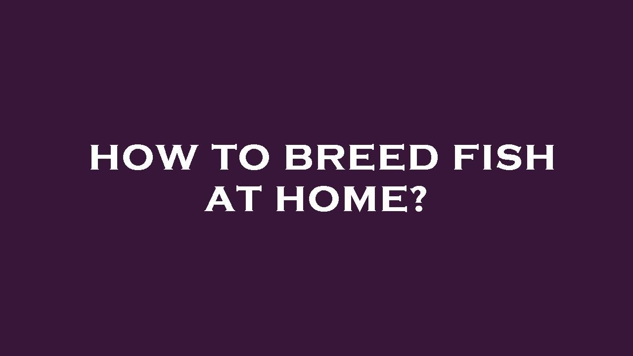 How to breed fish at home? - YouTube