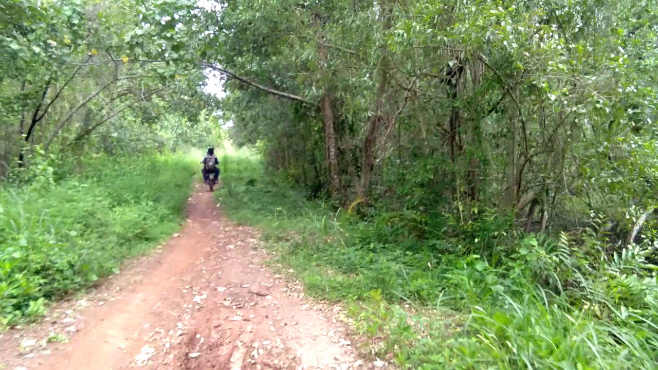 Jalan Darat Menuju Distrik Okaba. Kabupaten Merauke, Papua. - YouTube