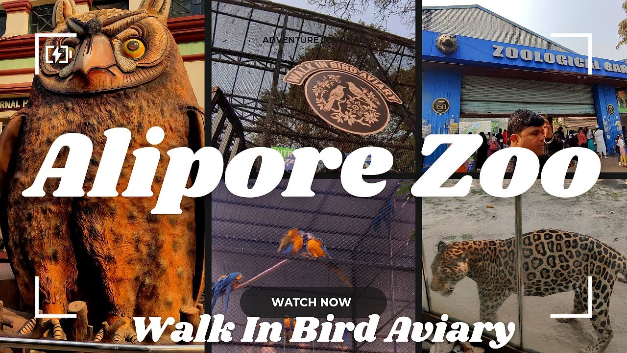 Zoological Garden Alipore Zoological park in Kolkata West Bengal ...