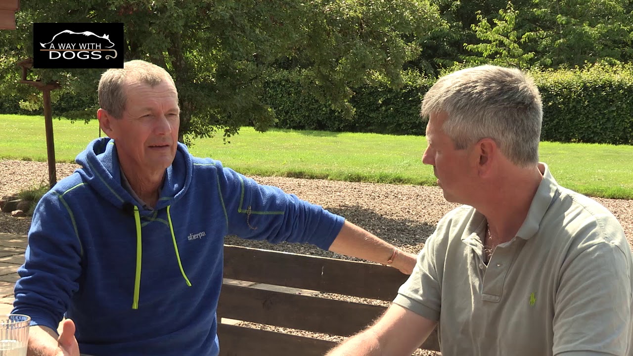 1. Sheepdog Trial Continental Ch. Mosse Magnusson & Paddy Fanning ...