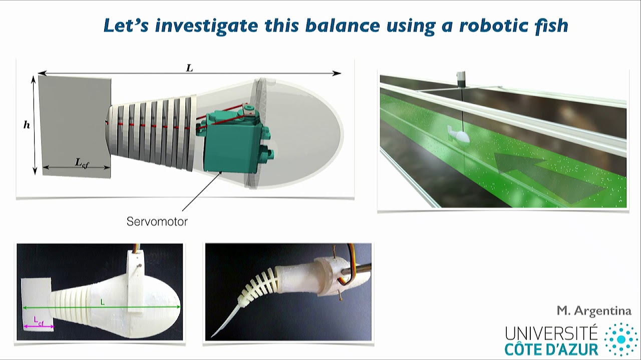 Swimming underwater: Simple Mechanisms and Proprioceptive Driving for ...