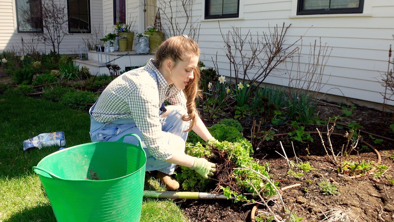 Flower Hunting: Unboxing Plants to Transform Your Garden! - YouTube