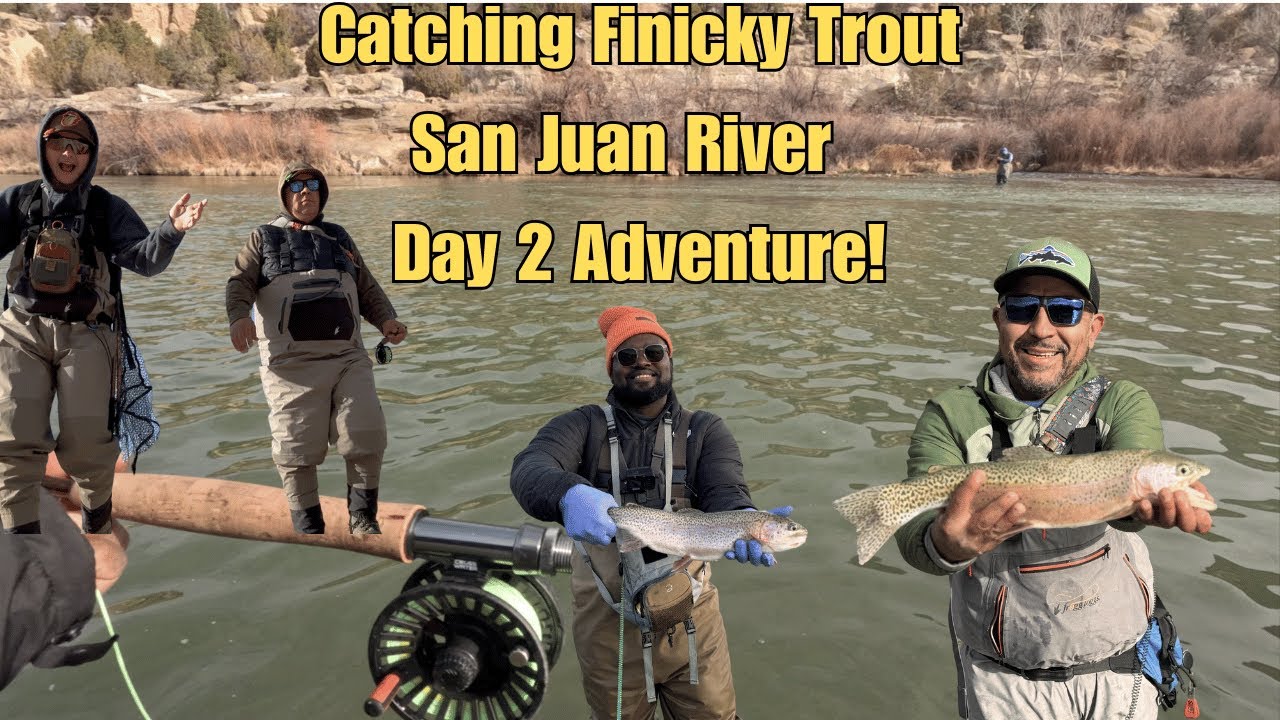 Cracking the Code: Catching Finicky Trout on the San Juan river | Day 2 ...