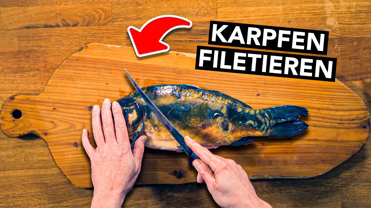Karpfen filetieren für Anfänger 🔪 (schnell und einfach mit Geheimtipp ...