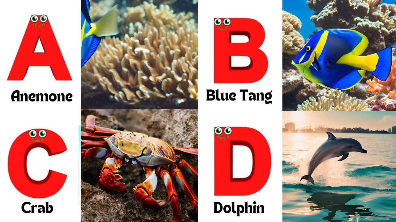 Sea Animals ABC Song | Learn The Names of Sea Animals for Kids ...
