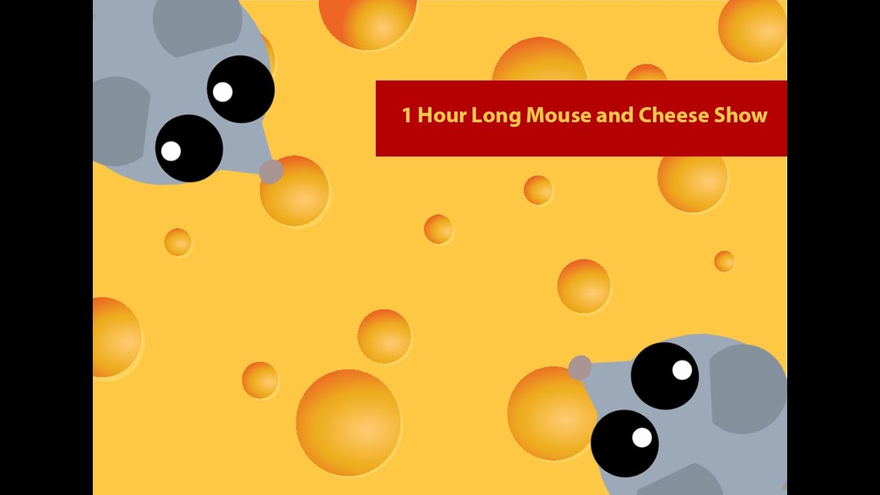 Cat Shows And Games - 1 Hour Long Mouse and Cheese Chase - YouTube