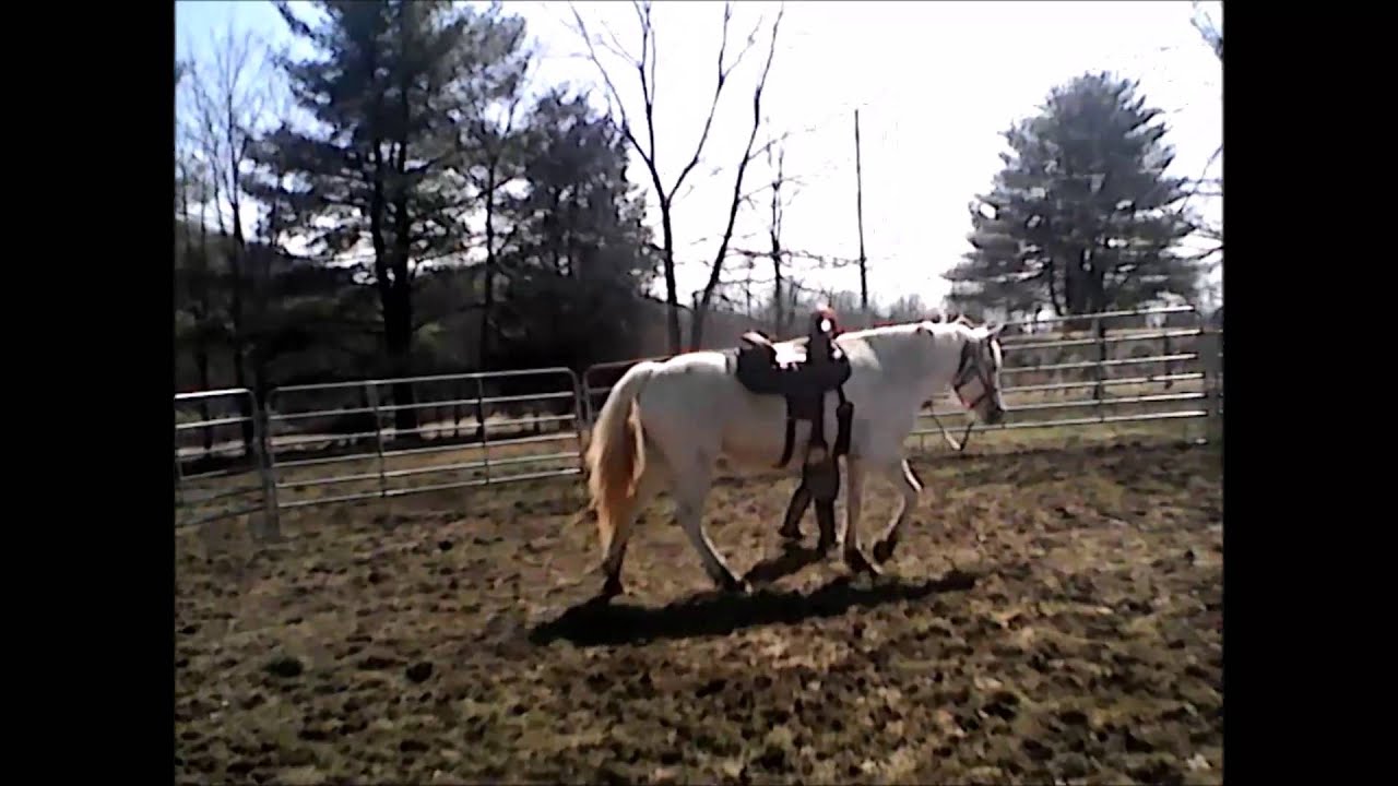 Riding Video Part 1 - YouTube