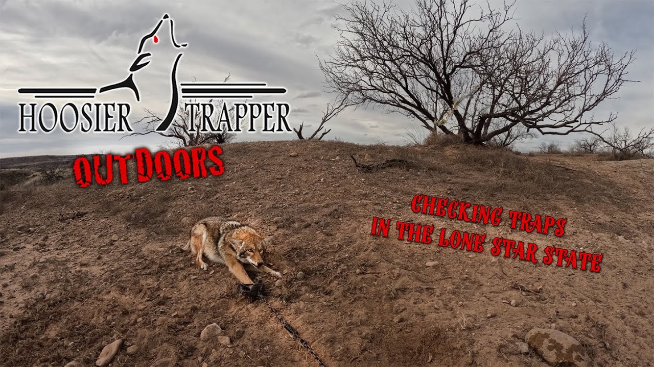Hoosier Trapper Outdoors S.14 Epi.2 - Checking Traps in the Lone Star ...