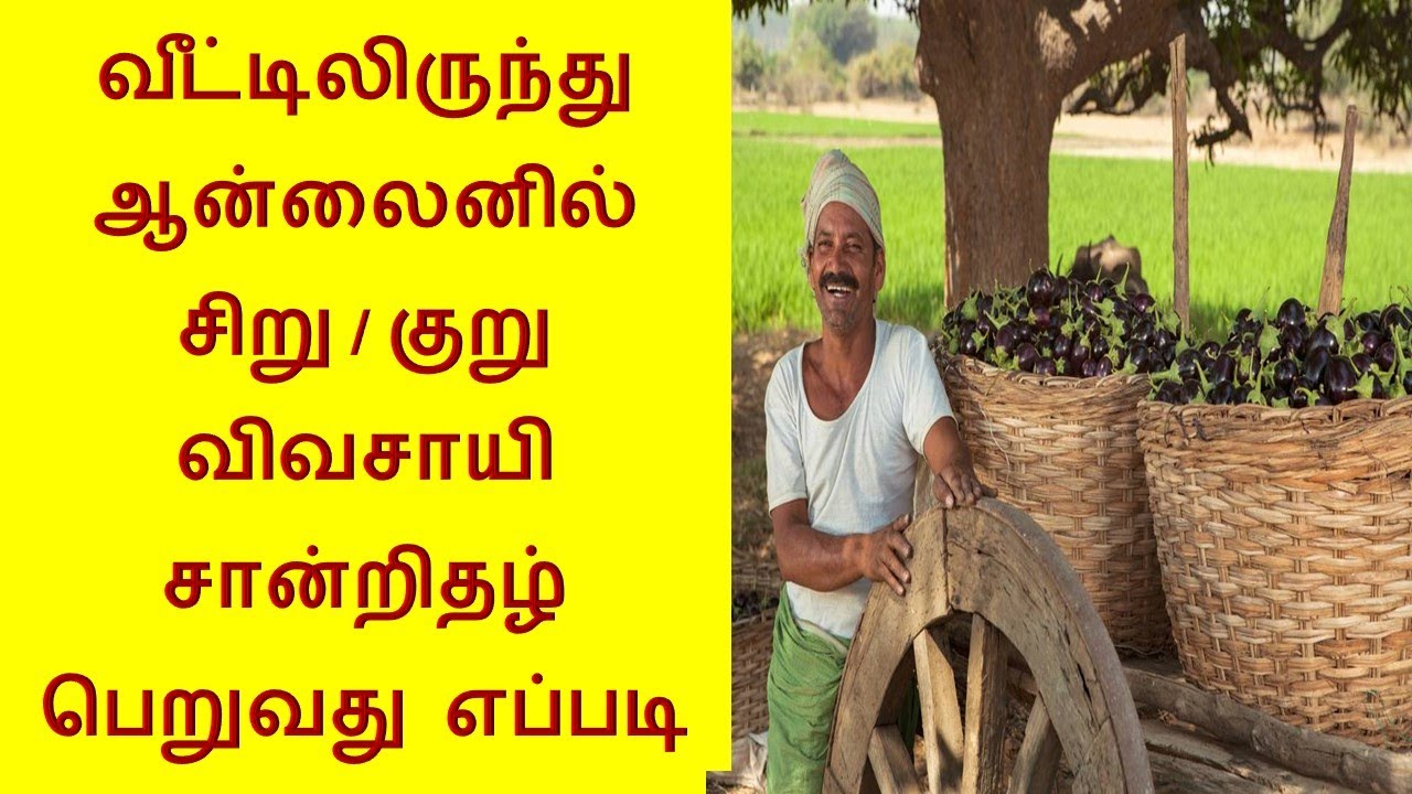 How to apply Small/Marginal Farmer Certificate from home - YouTube