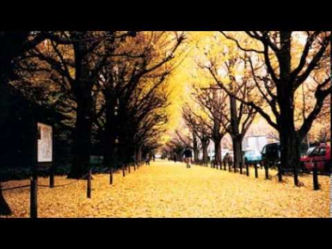 『RAZZ MA TAZZ(JAPAN) ラズマタズ - それぞれの日々』 - YouTube