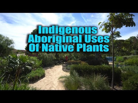 What Is The Difference Between Native And Indigenous Plants