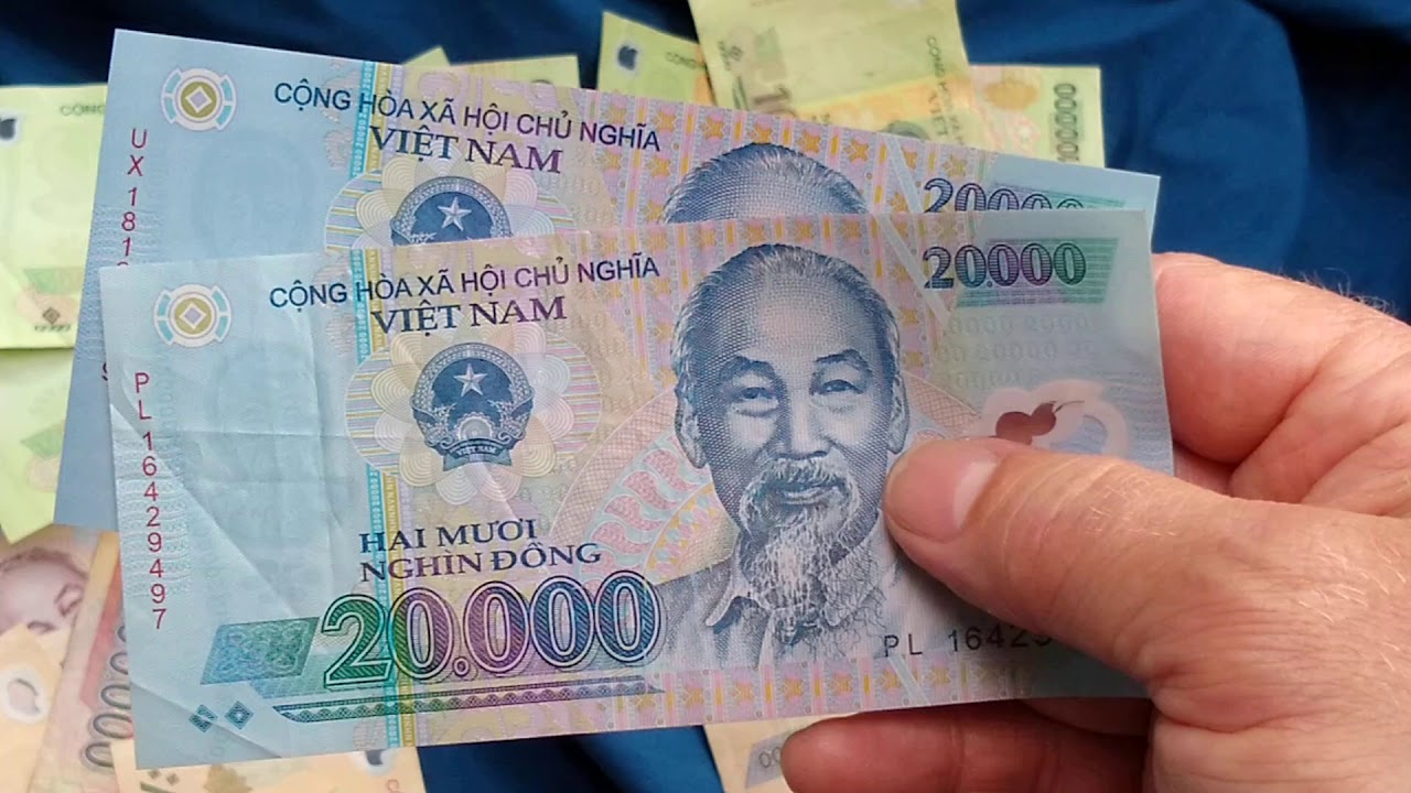 Counting Out the Dongs 400000 using 20k notes - YouTube