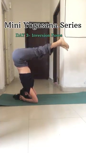 Try these beginner inversion poses 🕉️ #yoga #inversion #yogateacher # ...