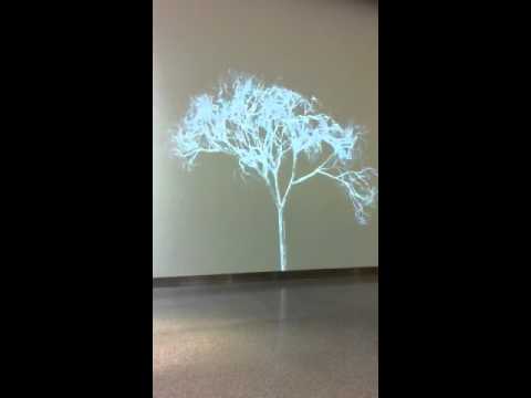 Indoor video tree projection - YouTube