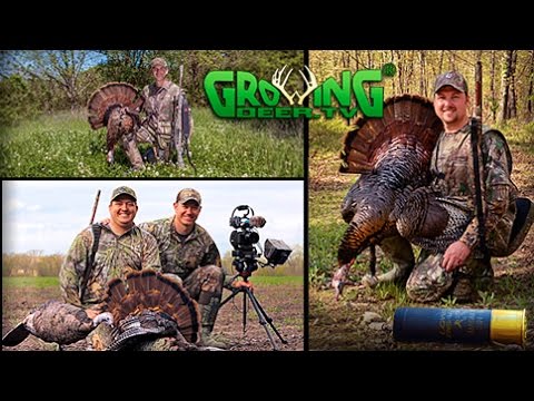 Turkey Hunting | Fast and Loud Action! (#337) @GrowingDeer.tv - YouTube