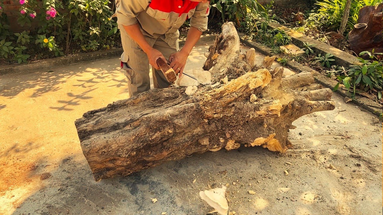 Let's See: This Guy Turns Forgotten 500-Year-Old Tree Stump Into Thousand-Dollar Coffee Table ...