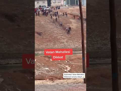 vatan mahalesi kavga 2022