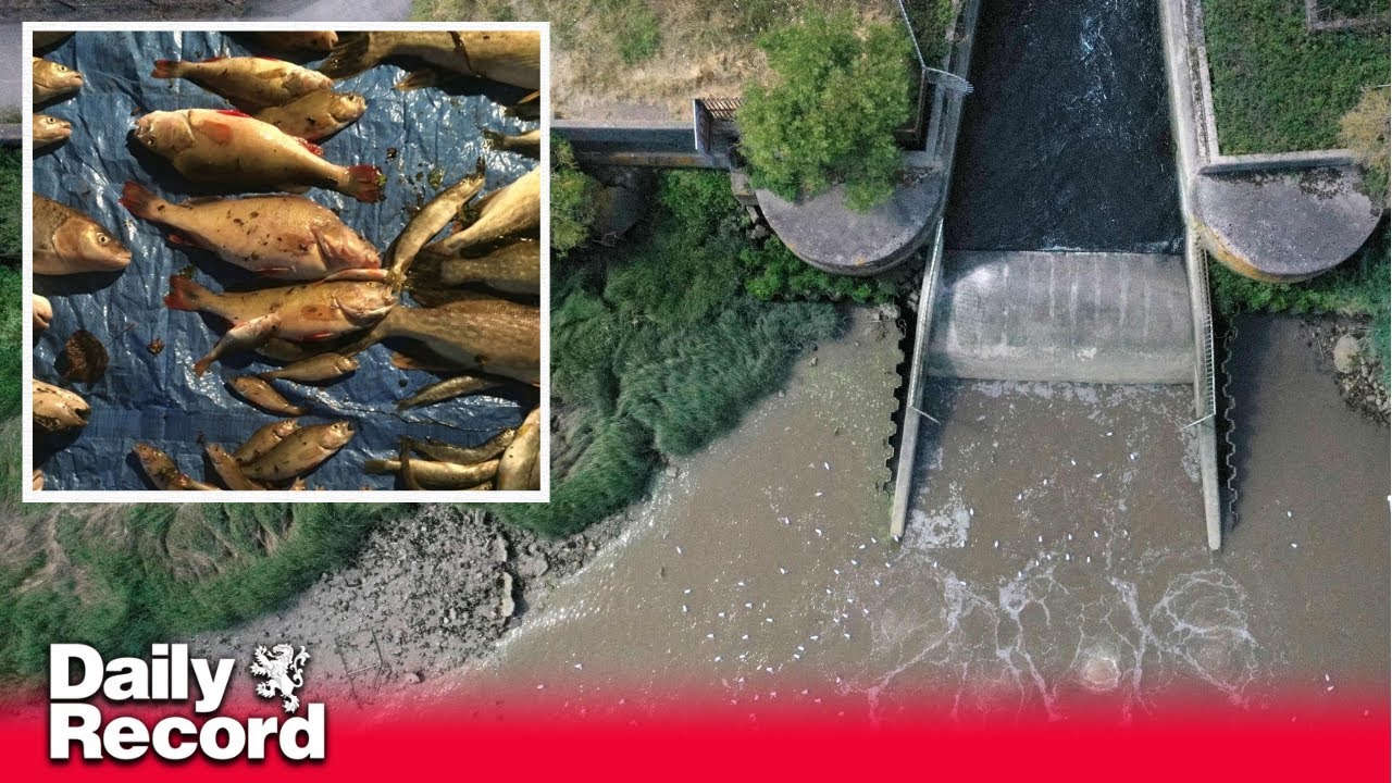 Thames Water fined £3.3 million as “millions of litres” of undiluted ...