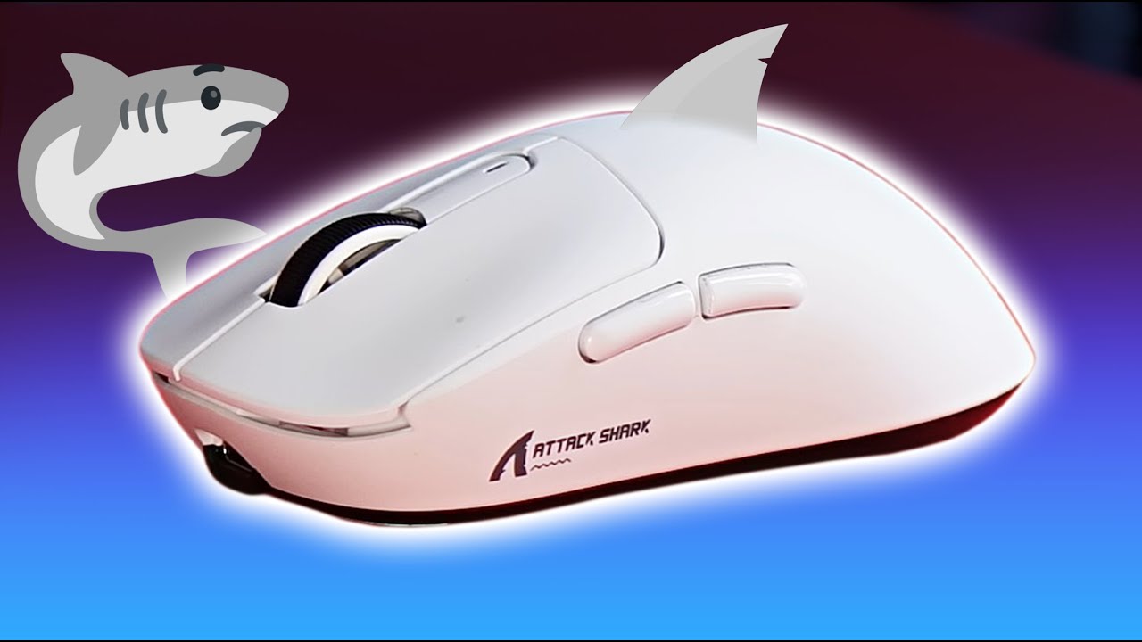 The BEST Budget Mouse Attack Shark X3 Review shocking YouTube