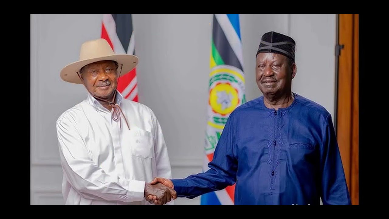 THE AFRICAN LION, RAILA AMOLLO ODINGA. African Union Commission (AUC ...