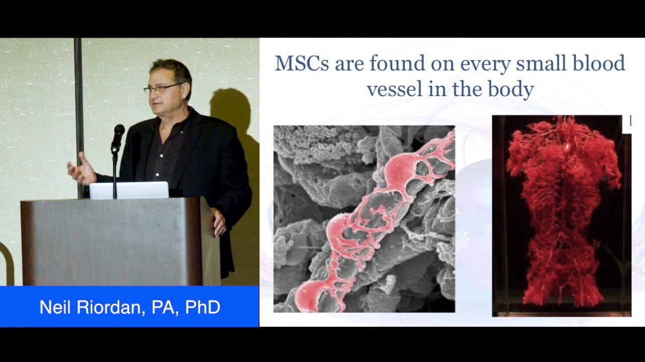 Stem Cells: Their Role in Aging and in the Treatment of Chronic ...