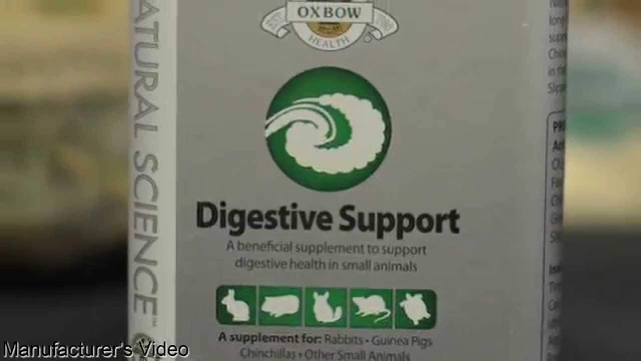 Oxbow Natural Science Digestive Support Hay Tabs (DrsFosterSmith) - YouTube