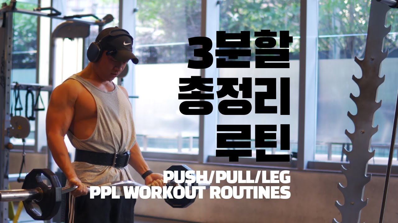 영상 하나로 끝내는 효과적인 3분할 근성장 루틴(PPL 루틴 - push, pull, leg) | 새벽 5시 기상 운동 ...