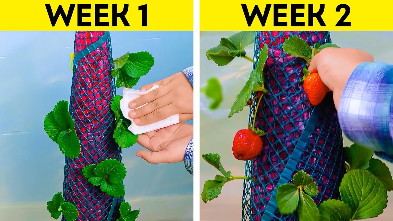 Planting Party: Fun Ways to Get Your Hands Dirty - YouTube