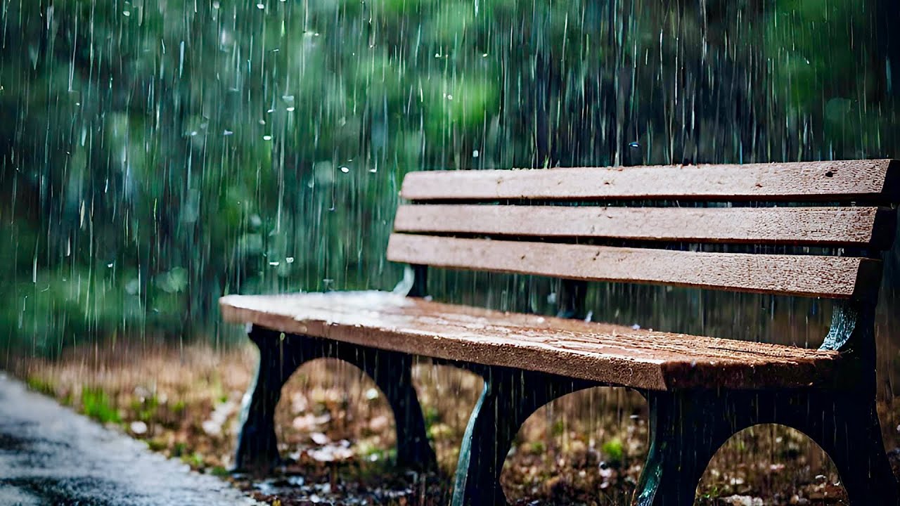 Adormi cu SUNET de PLOAIE Blândă în Pădure [4K] Ploaie pentru Relaxare ...