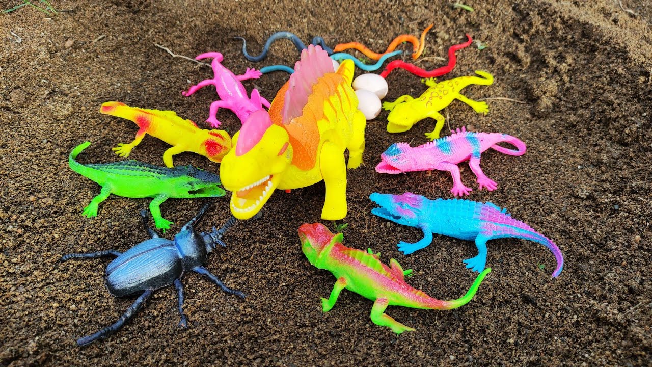 Mencari Mainan Hewan, Ular, Kumbang, Dinosaurus, Cicak Warna Warni ...