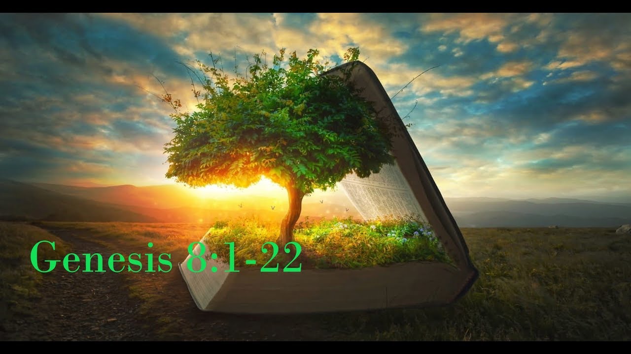 The Bible - Genesis (Chapter 8) - YouTube