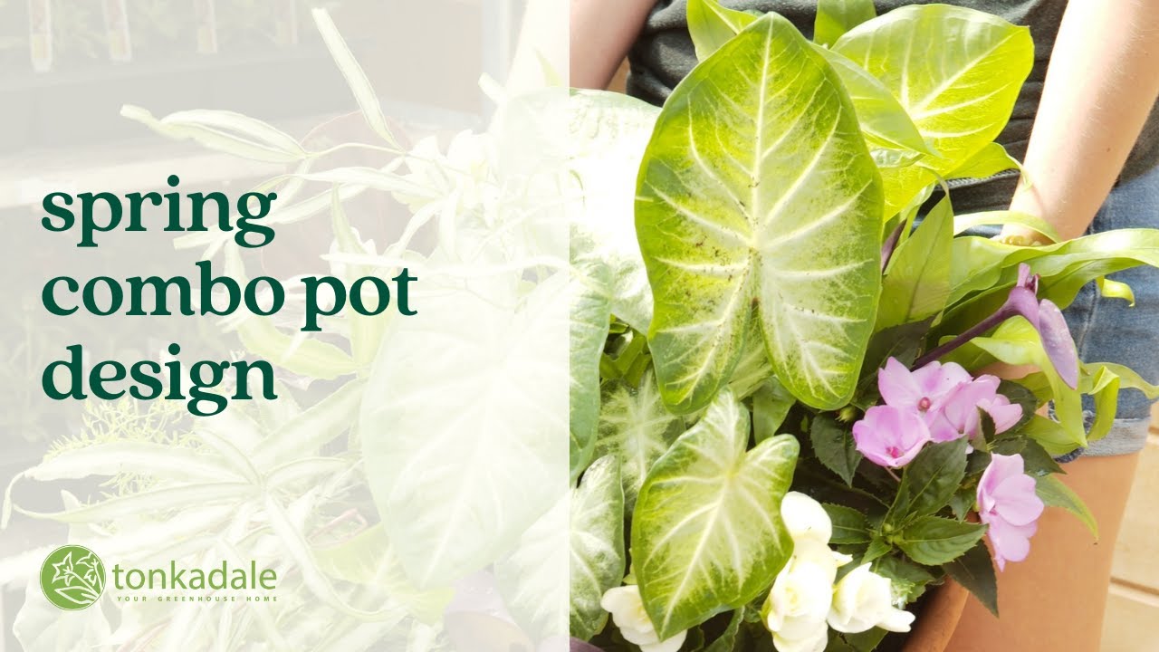 Spring Combo Pot Design - YouTube