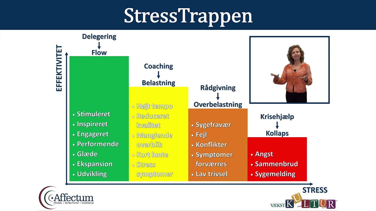 Forebyggeren - StressTrappen - YouTube