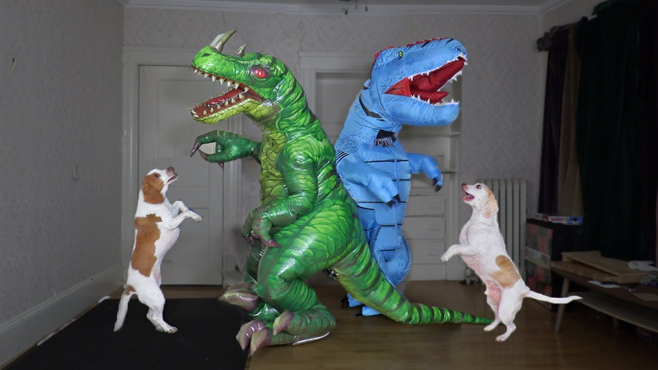 Funny Dogs & Dinosaur Dance Party! Maymo the Dog vs Dancing Dino Prank ...