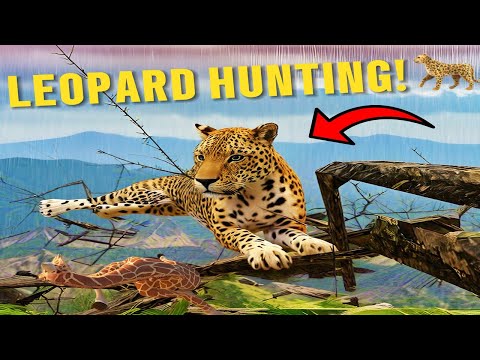 FIRST TIME HUNTING AS A LEOPARD IN SAVANNAH LIFE ROBLOX!