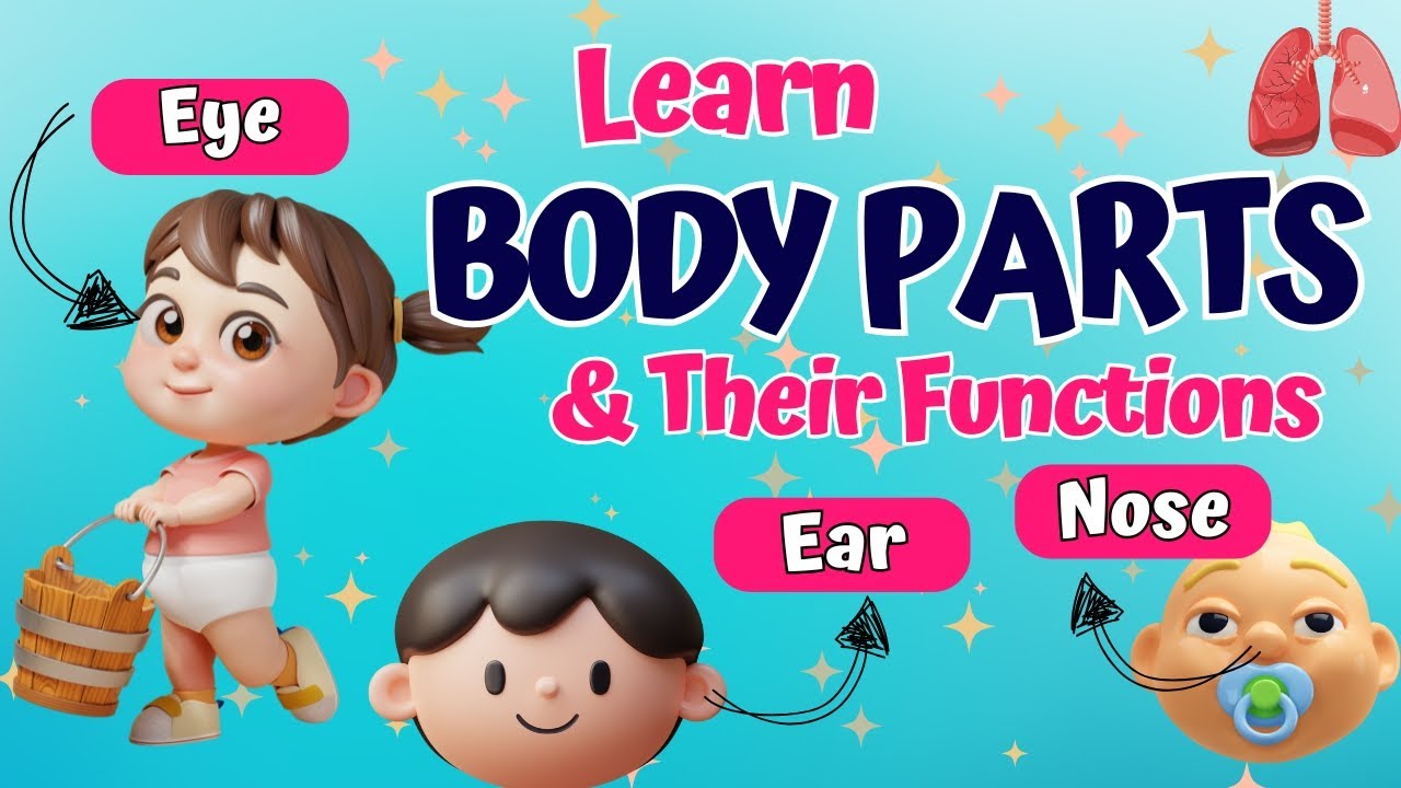 Learn Body Parts & Their Functions | Fun and Interactive Lesson for ...