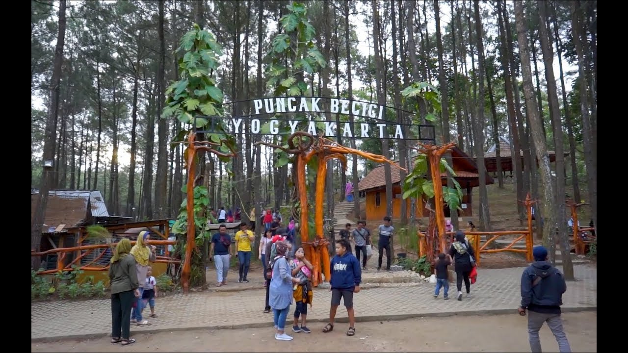 【🚶Hutan Pinus Puncak Becici】 - YouTube