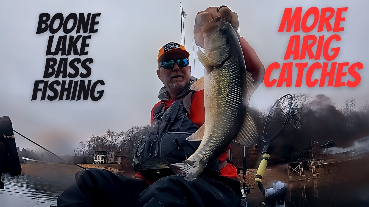 Boone Lake Bass Fishing More A Rig Catches | BigBaitPosse | - YouTube