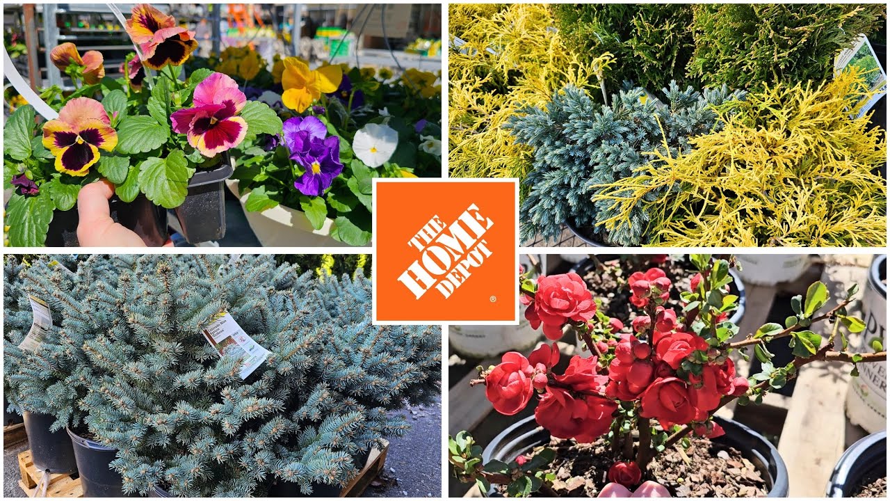 Home Depot NEW ARRIVALS! March 2025 Garden Center Inventory: Spring ...