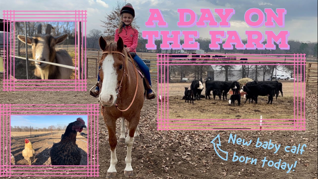 A Day on the Farm with Ryan and River - YouTube