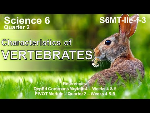 GRADE 6 SCIENCE QUARTER 2 – Week 4 & 5 │ VERTEBRATES│ DepEd Commons ...