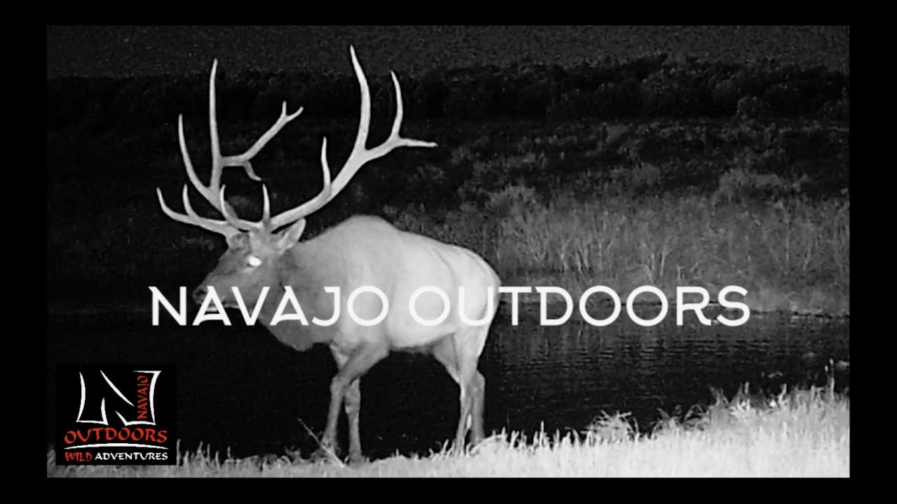 NAVAJO OUTDOORS - Navajo Nation Premier Big Game Hunting in New Mexico ...